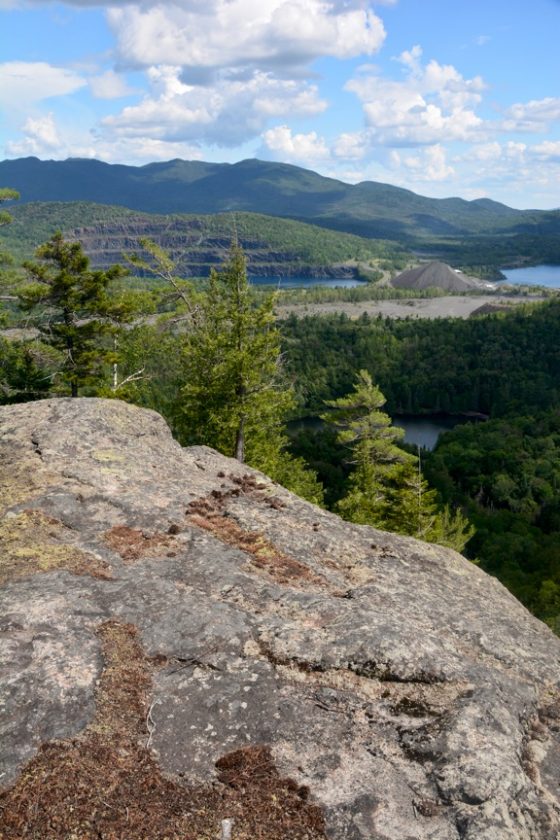 SWIMMING THROUGH TREES: Be prepared for your Adirondack bushwhacking ...